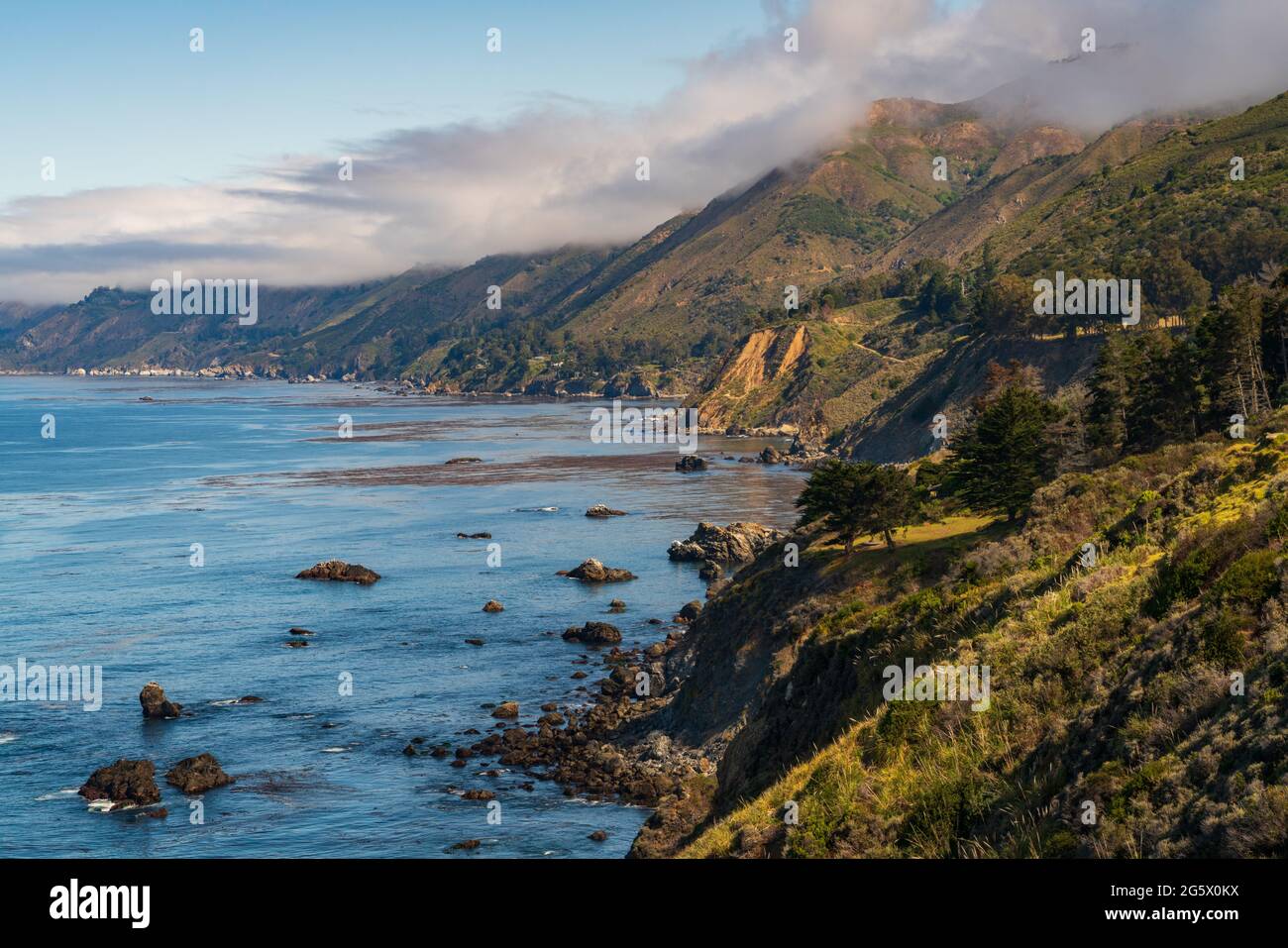 Julia sierra hi-res stock photography and images - Alamy