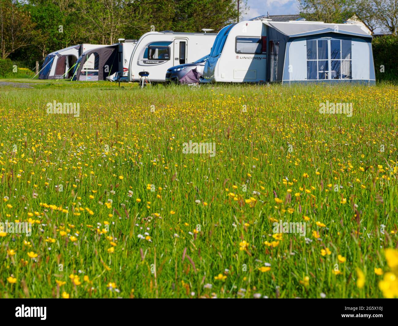 Yellow caravan yellow flowers hi-res stock photography and images - Alamy