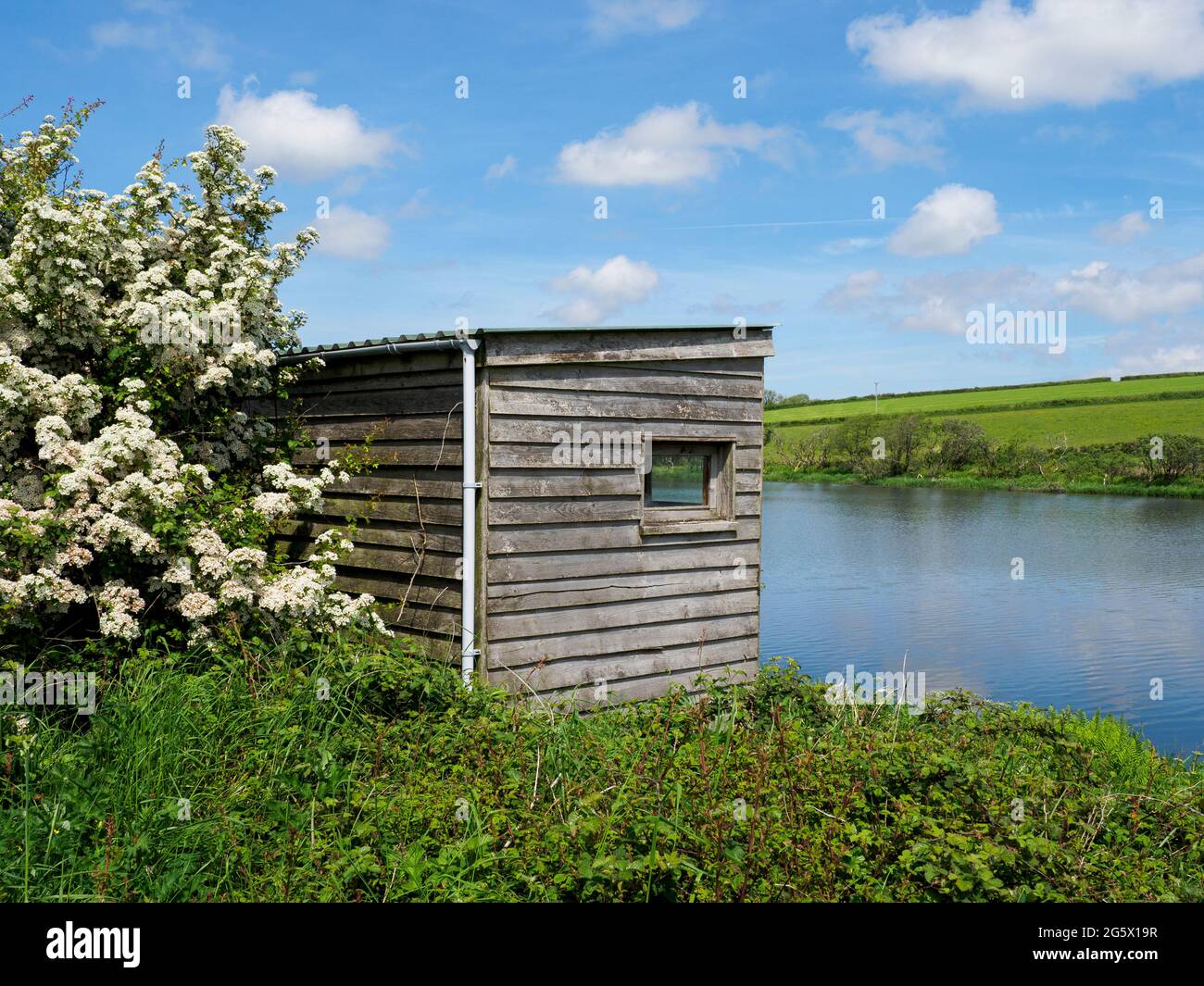 Bird watching hide, Upper Tamar Lake, Devon, UK Stock Photo - Alamy