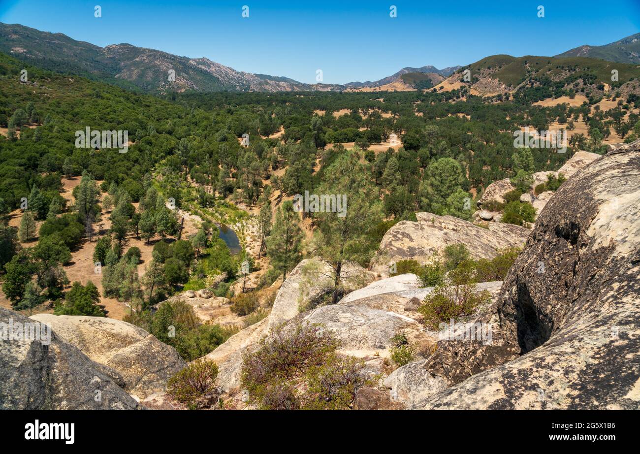 Los padres national forest hi-res stock photography and images - Alamy