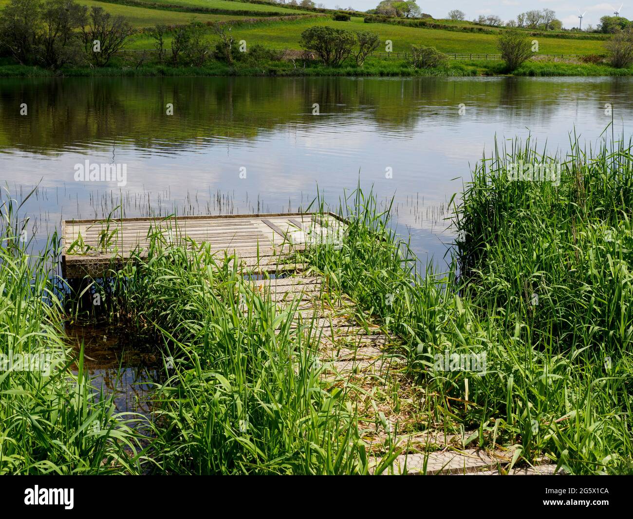 Old wooden fishing deck on Upper Tamar Lake, Devon, UK Stock Photo - Alamy