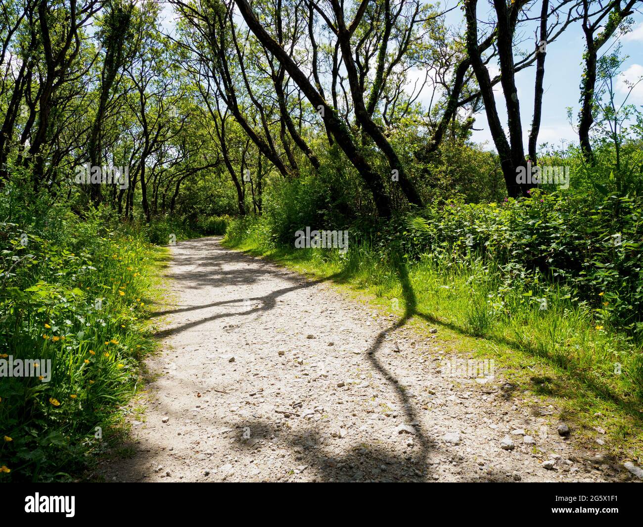 Stoney track hi-res stock photography and images - Alamy
