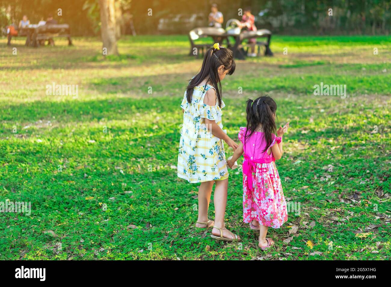 Back view of Asian little girls walking side by side through green ...