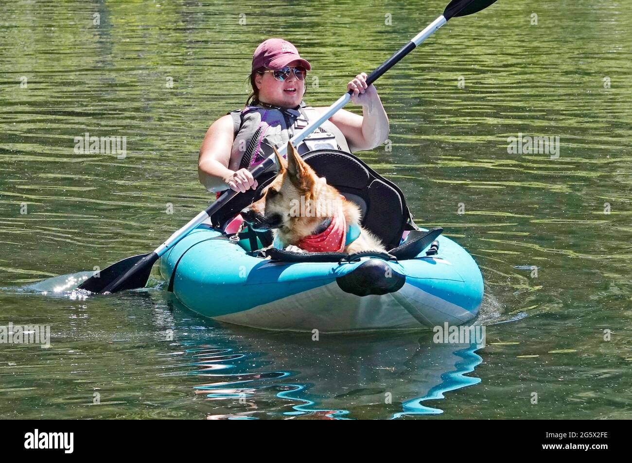 A woman in a kayak with her German shepherd dog on a hot summer day at ...