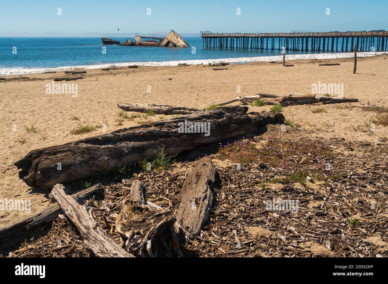 Seacliff State Beach and the S.S. Palo Alto Stock Photo - Alamy