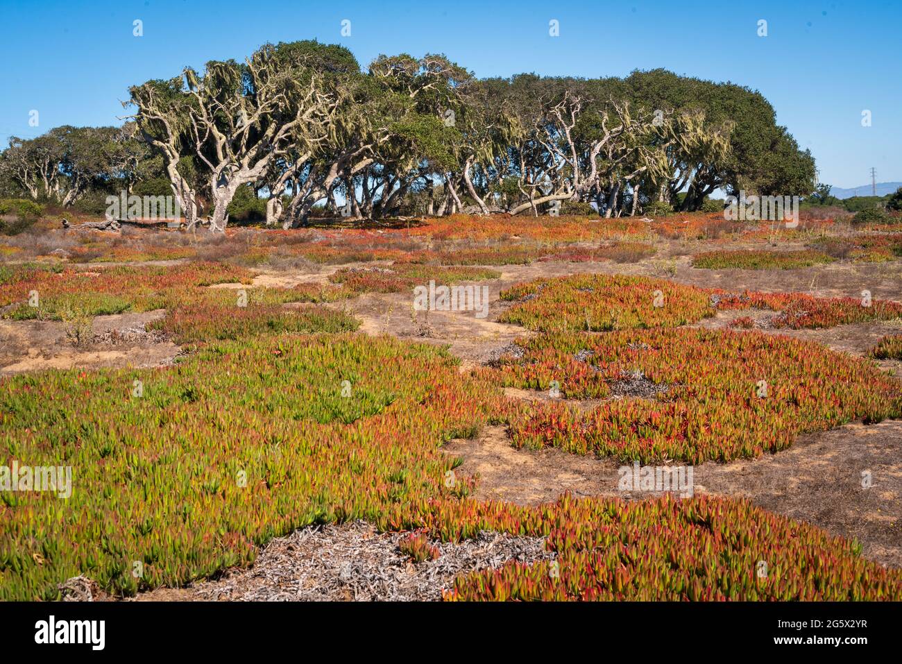 Fort Ord National Monument in California Stock Photo - Alamy