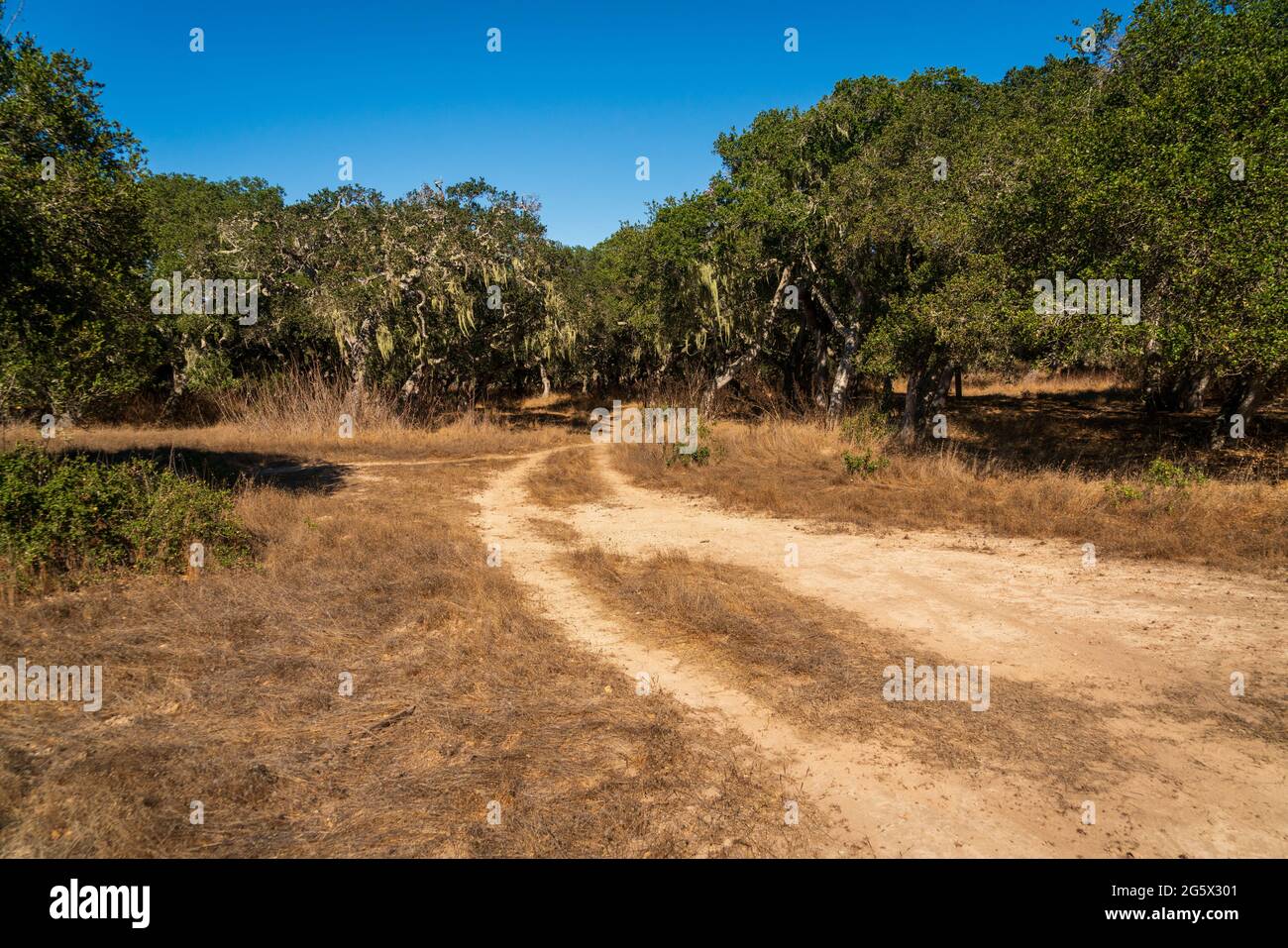 Fort Ord National Monument in California Stock Photo - Alamy