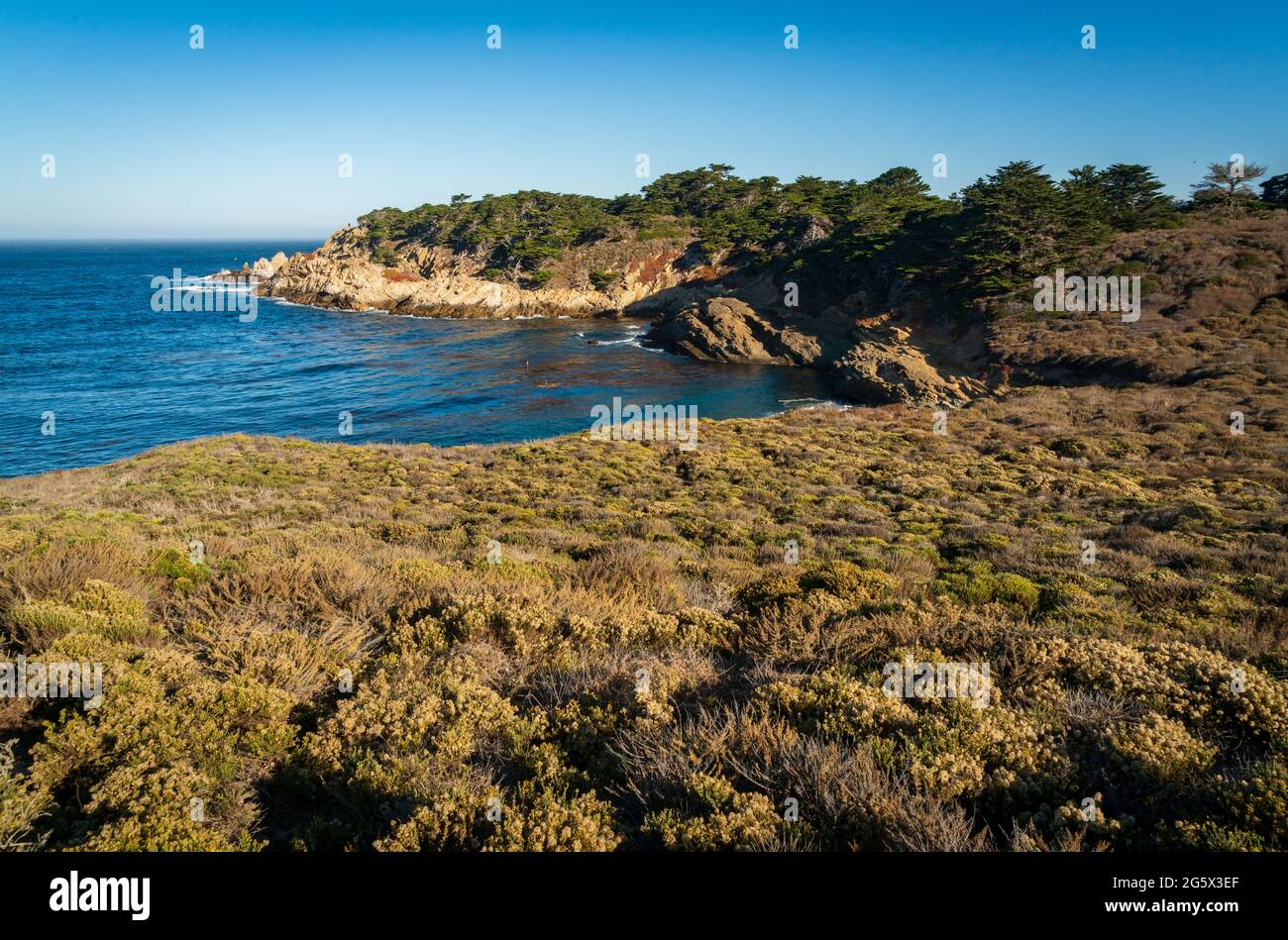The coast at Point Lobos in California Stock Photo - Alamy