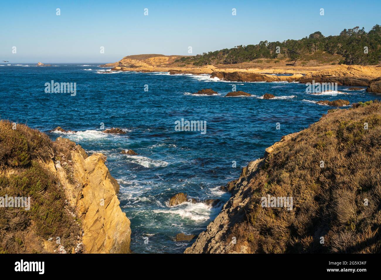 The coast at Point Lobos in California Stock Photo - Alamy