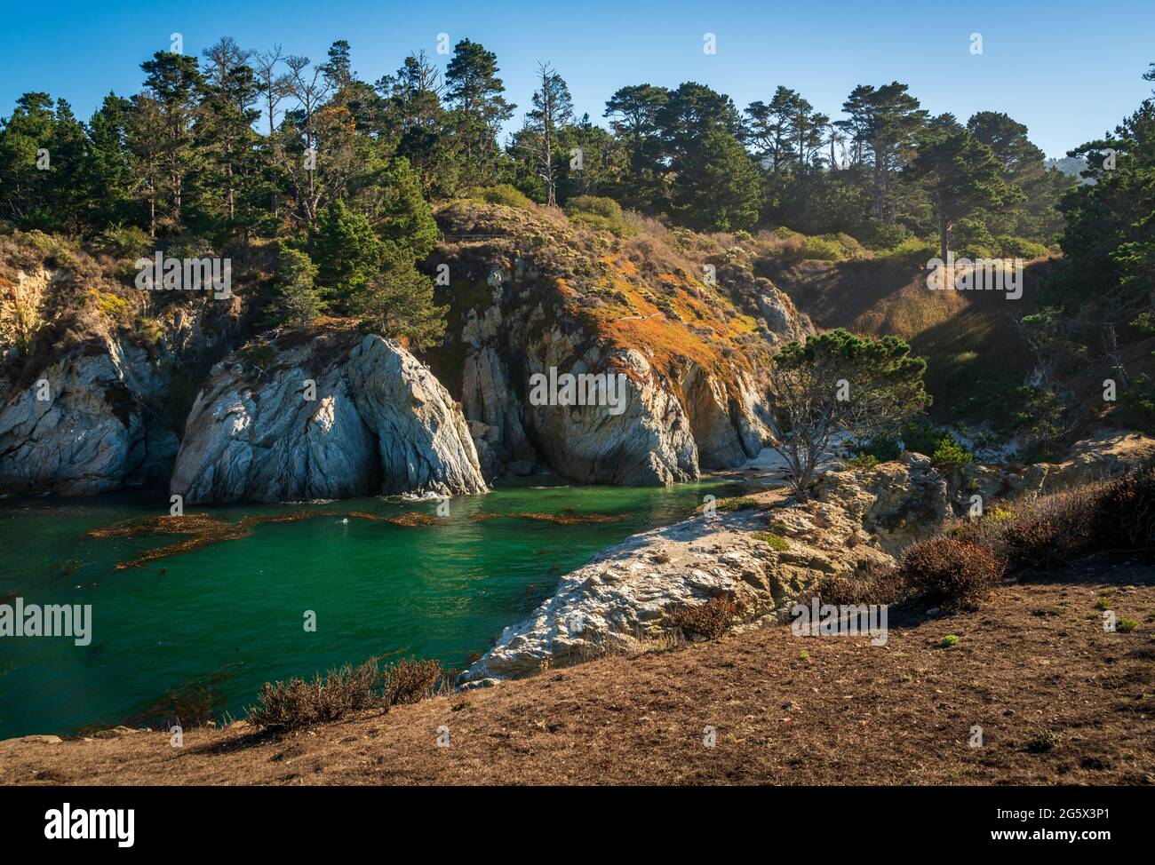 The coast at Point Lobos in California Stock Photo - Alamy