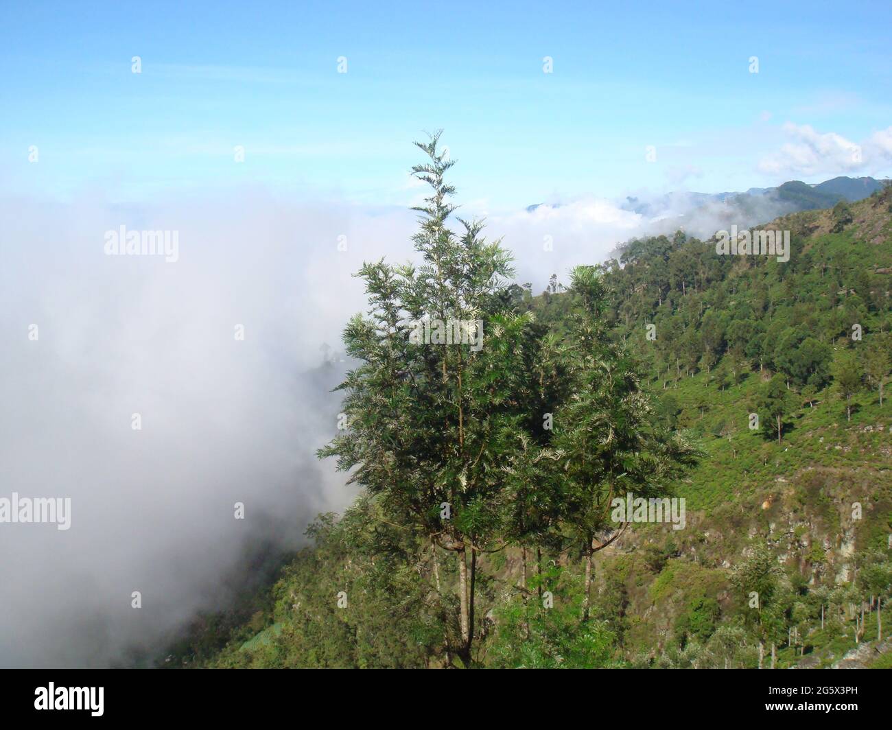 View around the city of Ella, Sri Lanka Stock Photo - Alamy
