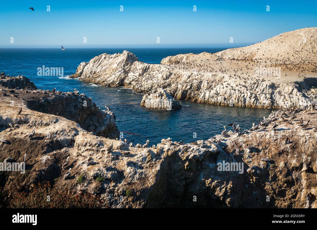 The coast at Point Lobos in California Stock Photo - Alamy