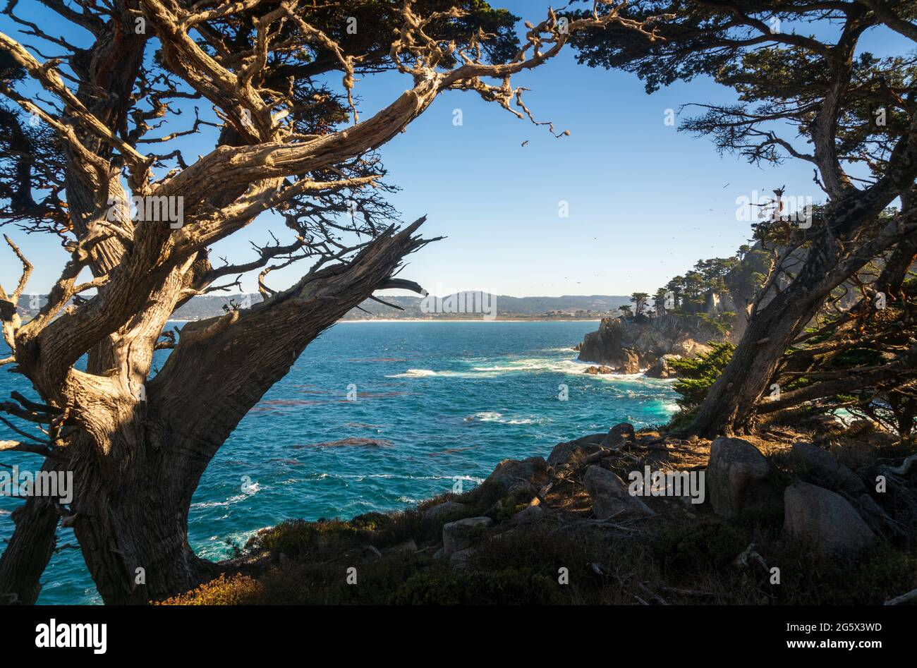The coast at Point Lobos in California Stock Photo - Alamy