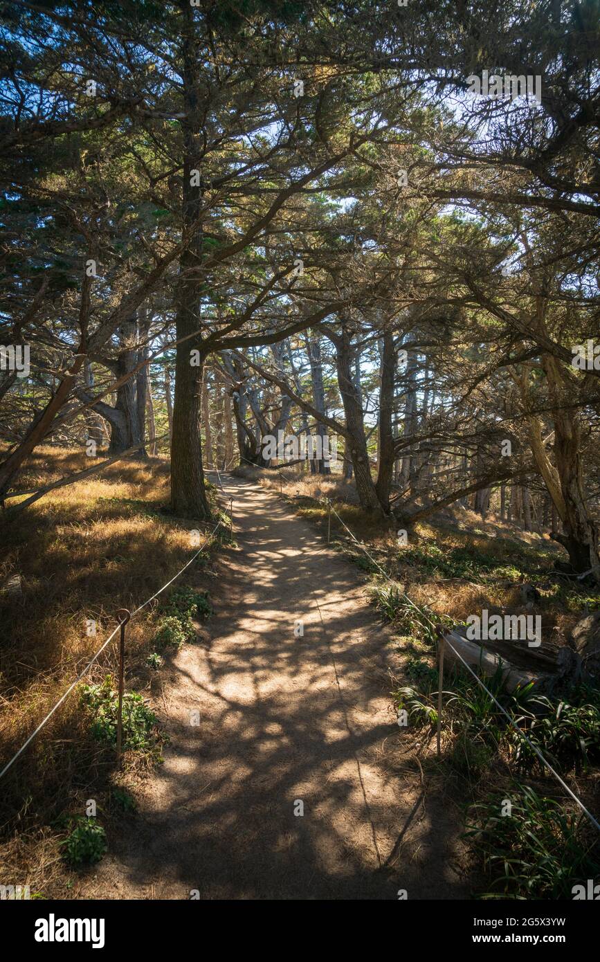 Point lobos trail hi-res stock photography and images - Alamy