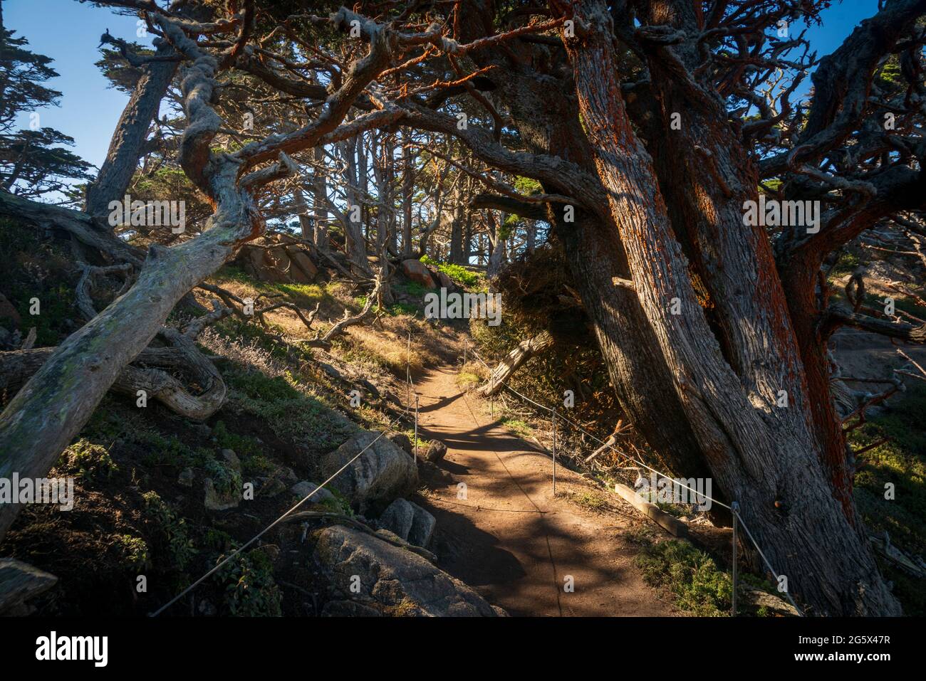 Hiking Trail at Point Lobos State Natural Reserve Stock Photo - Alamy