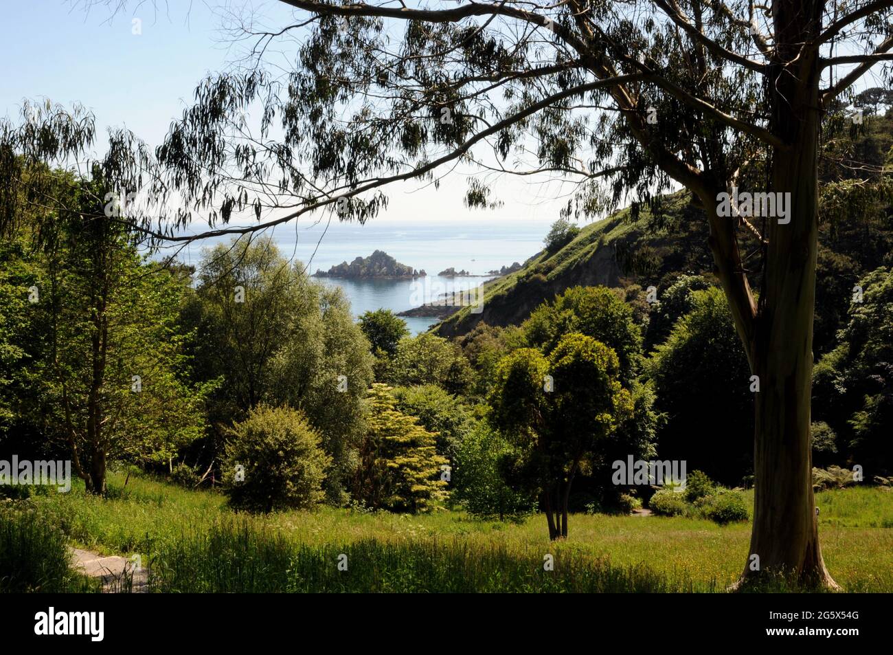 Coleton fishacre, devon hi-res stock photography and images - Alamy