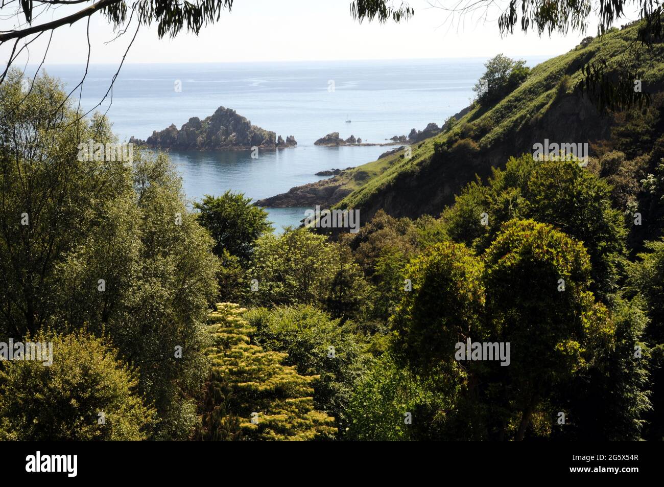 View from Coleton Fishacre looking towards the English Channel and ...