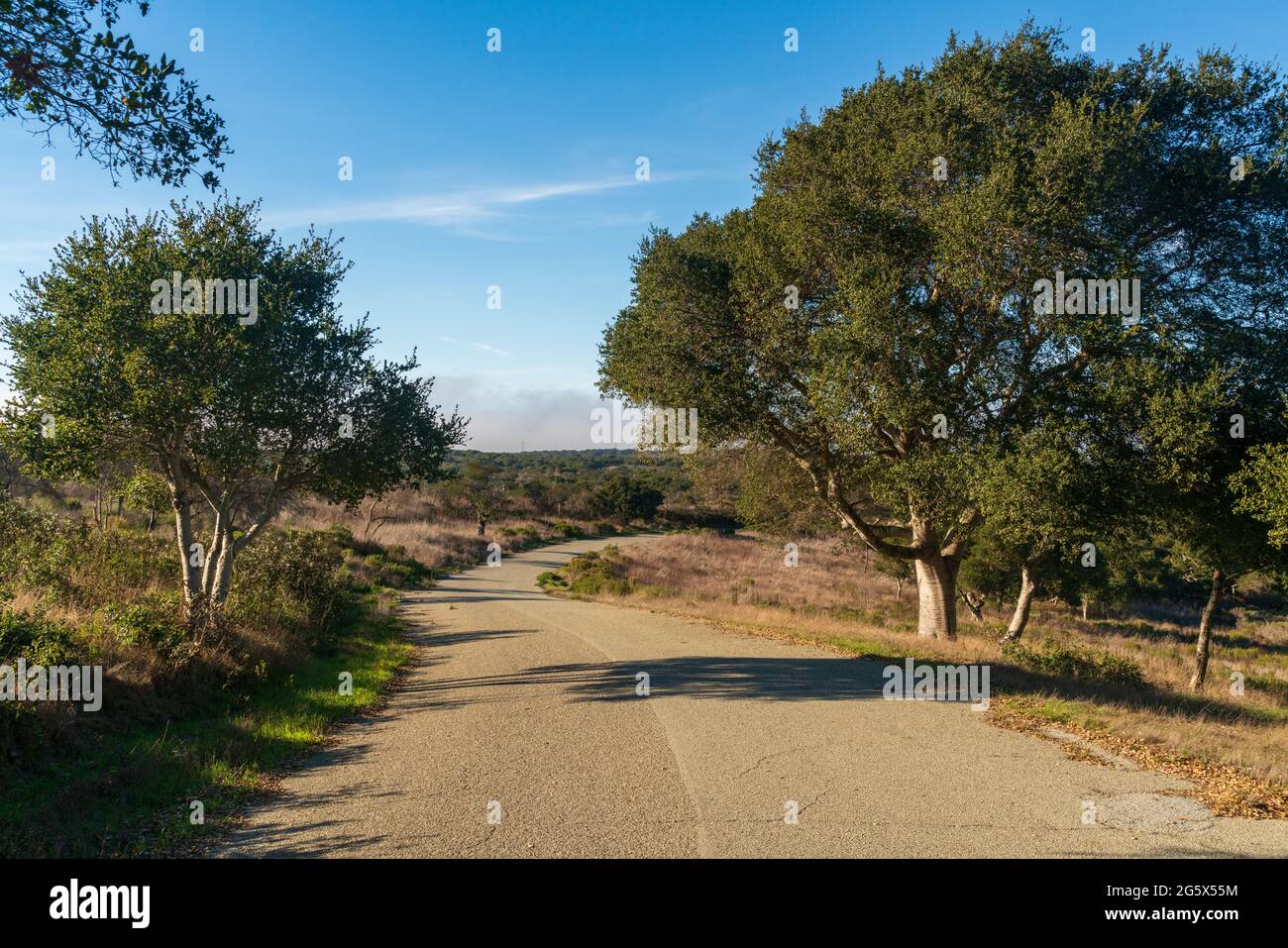 Fort Ord National Monument in California Stock Photo - Alamy