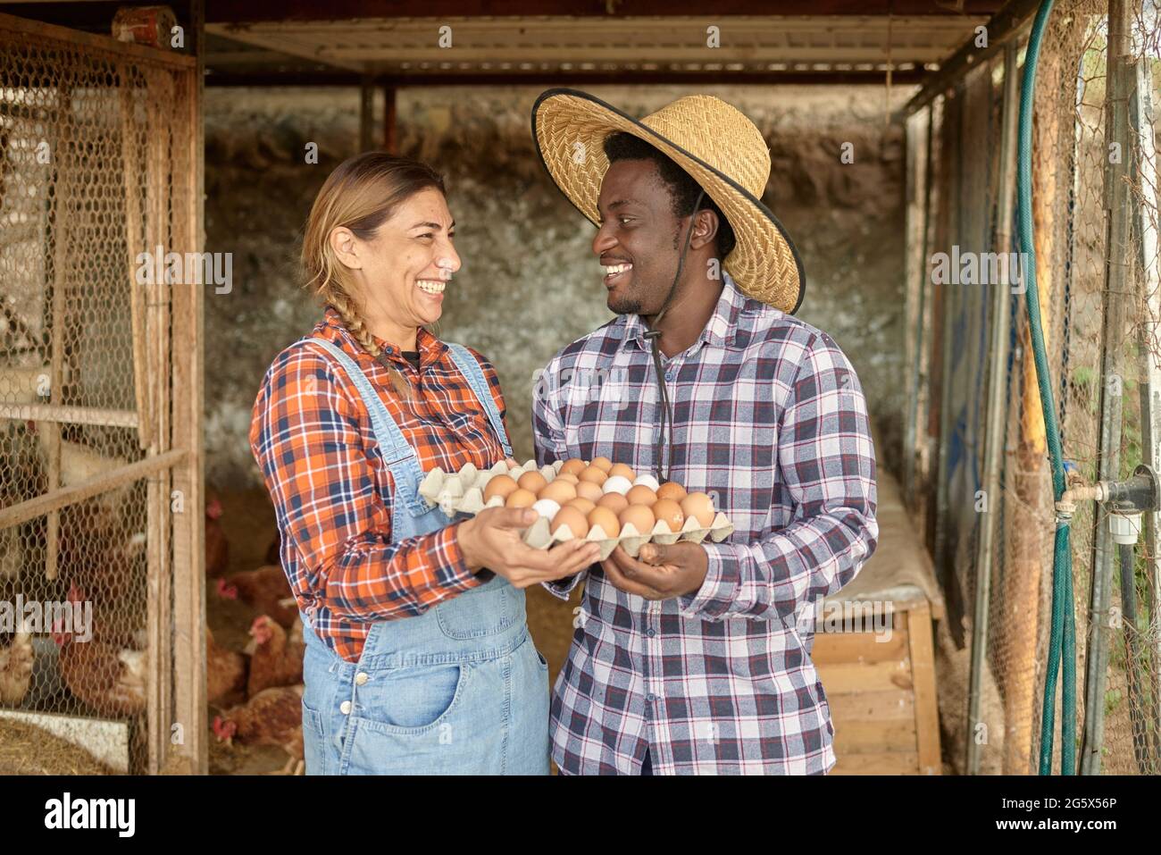 Cheerful diverse farmers with raw eggs in hen house Stock Photo - Alamy