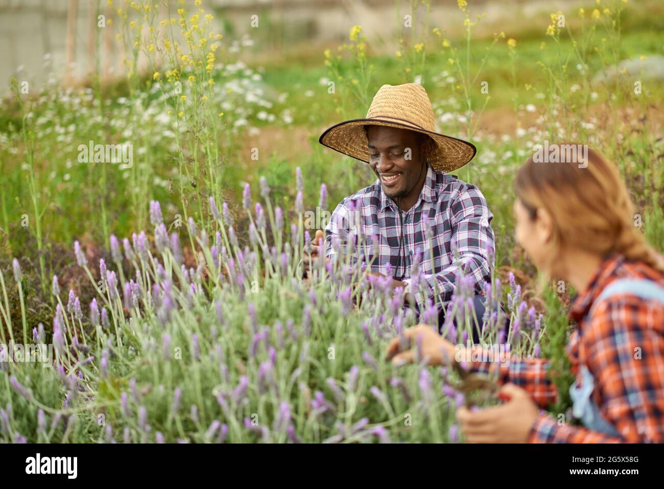 Horticulturist hi-res stock photography and images - Alamy