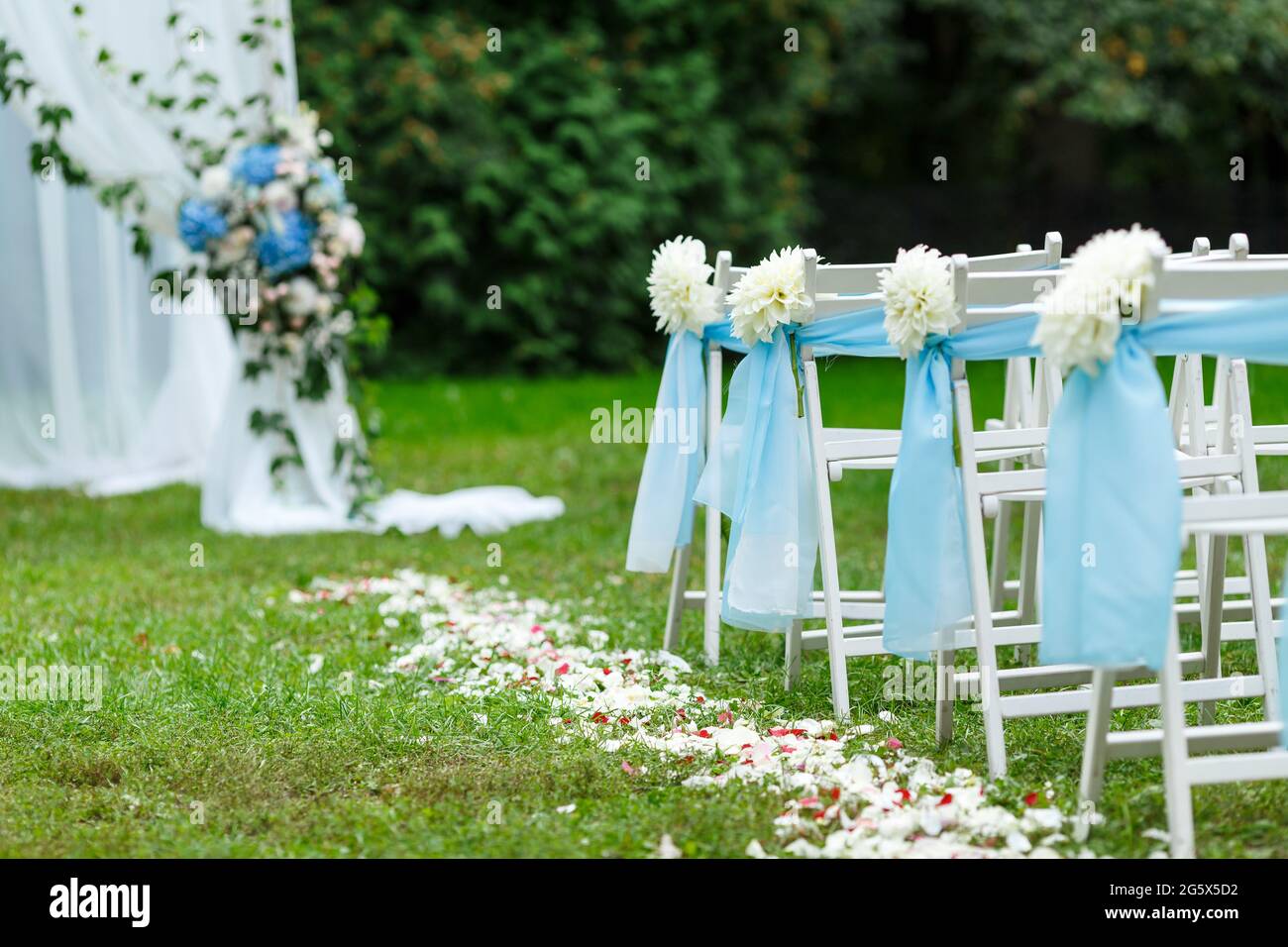 Wedding ceremony decorations: chairs with ribbons and chrysanthemums, a ...