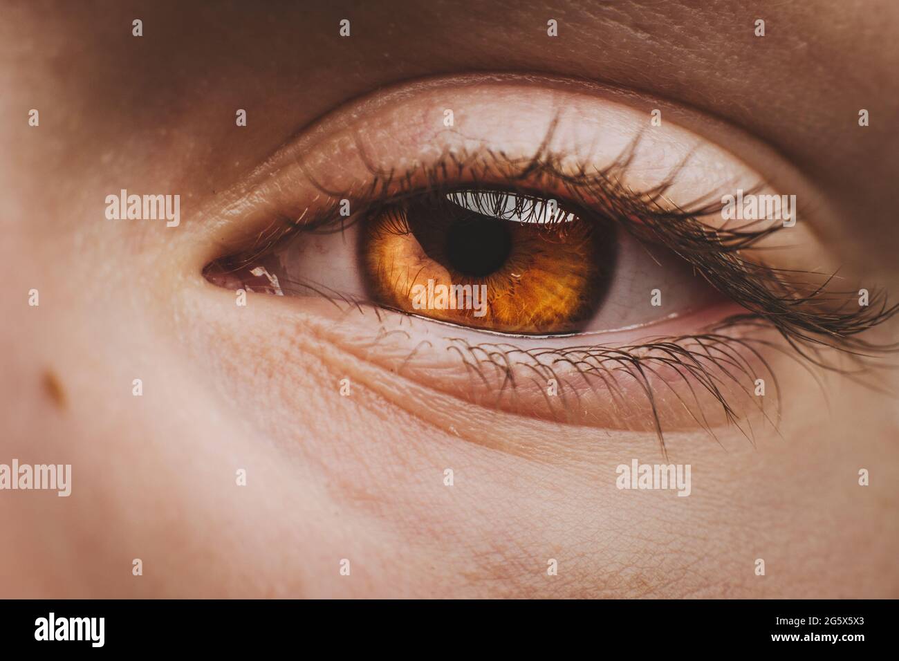 Close-up of planet earth in the eye of a child. View of a child on the ...