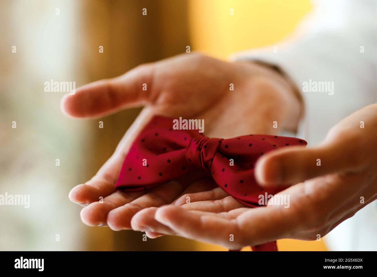 Mens wedding suit hi-res stock photography and images - Alamy