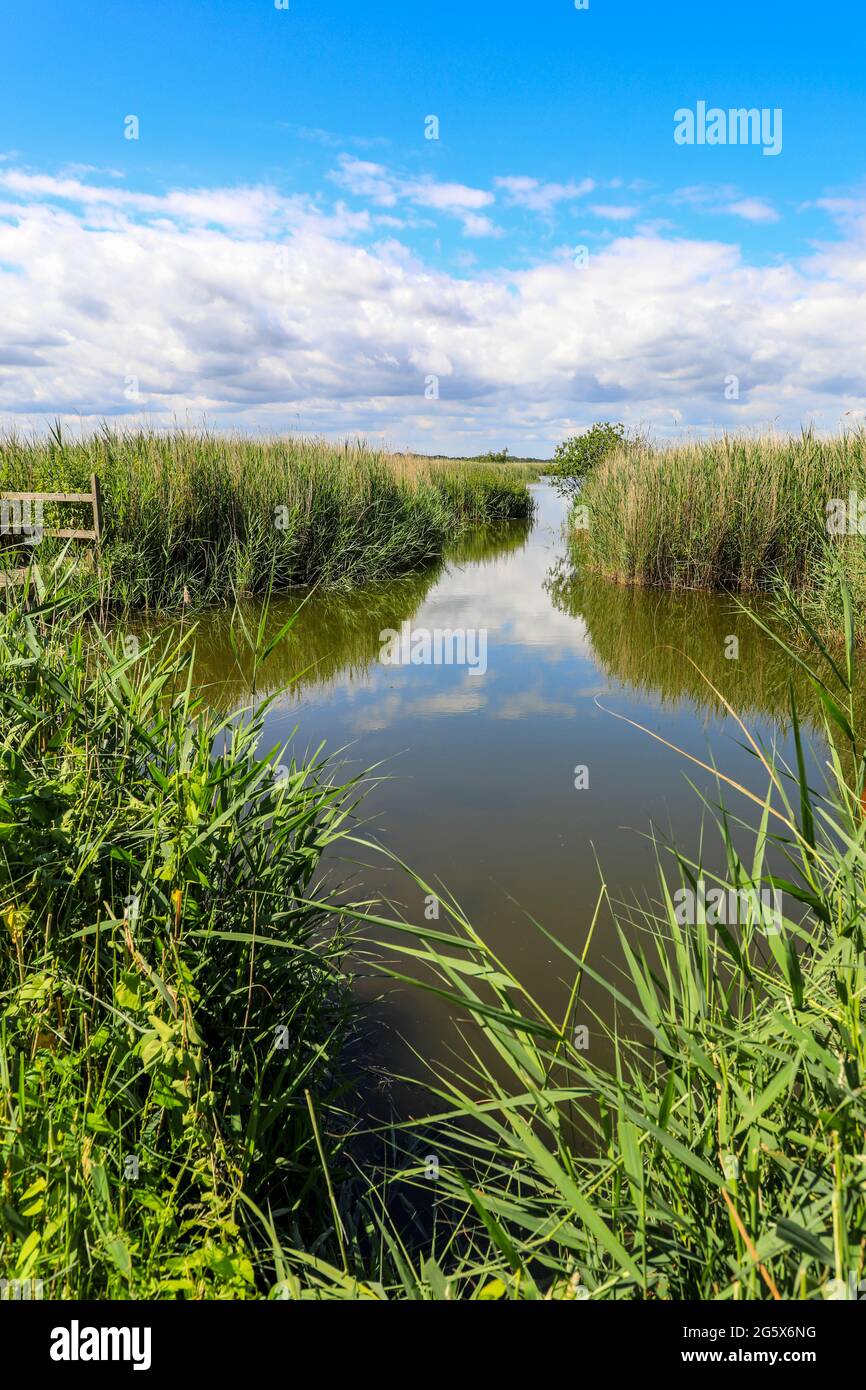 Hickling Broad, Norfolk, England, UK Stock Photo - Alamy