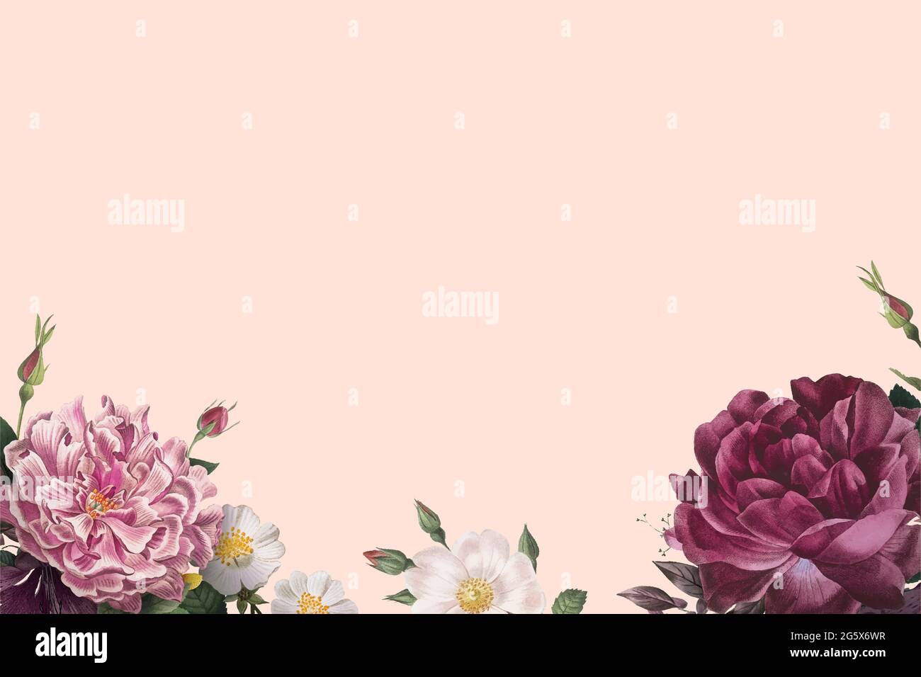 Pink Theme Spring Border High Resolution Stock Photography and Images ...