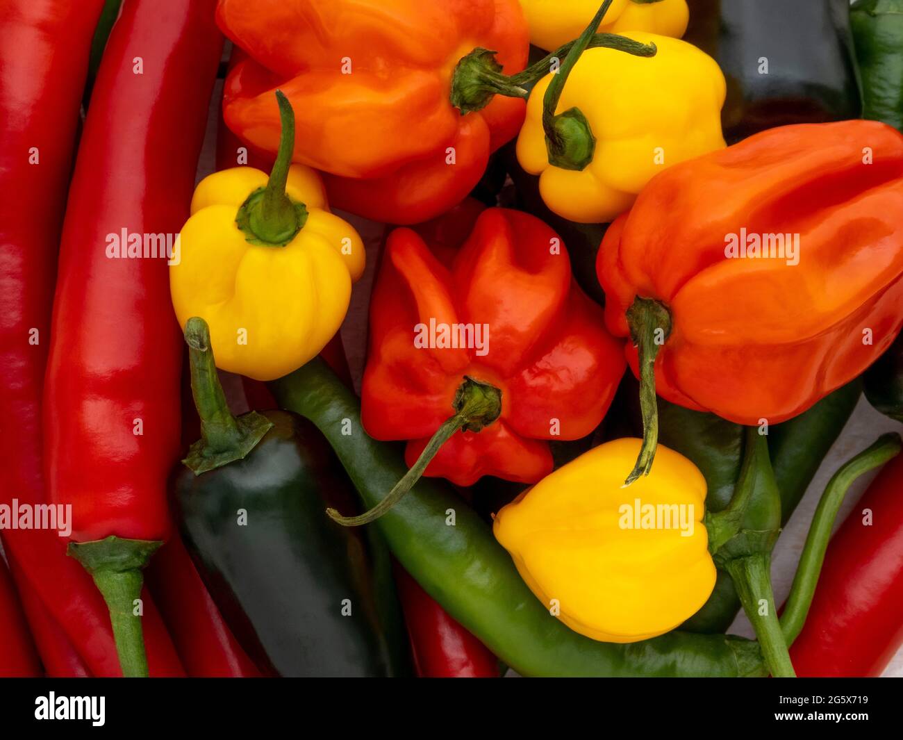 Chilli varieties hi-res stock photography and images - Alamy