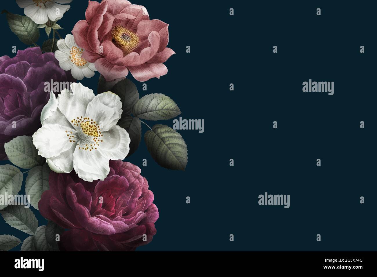 Pink Themed Border High Resolution Stock Photography and Images - Alamy