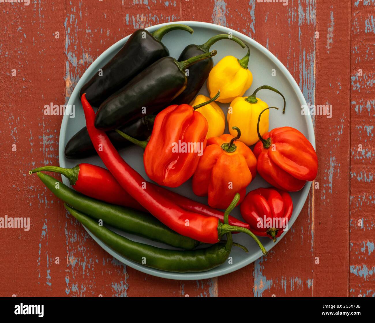 Plan view of assorted chilli peppers on a duck egg blue plate, on a ...