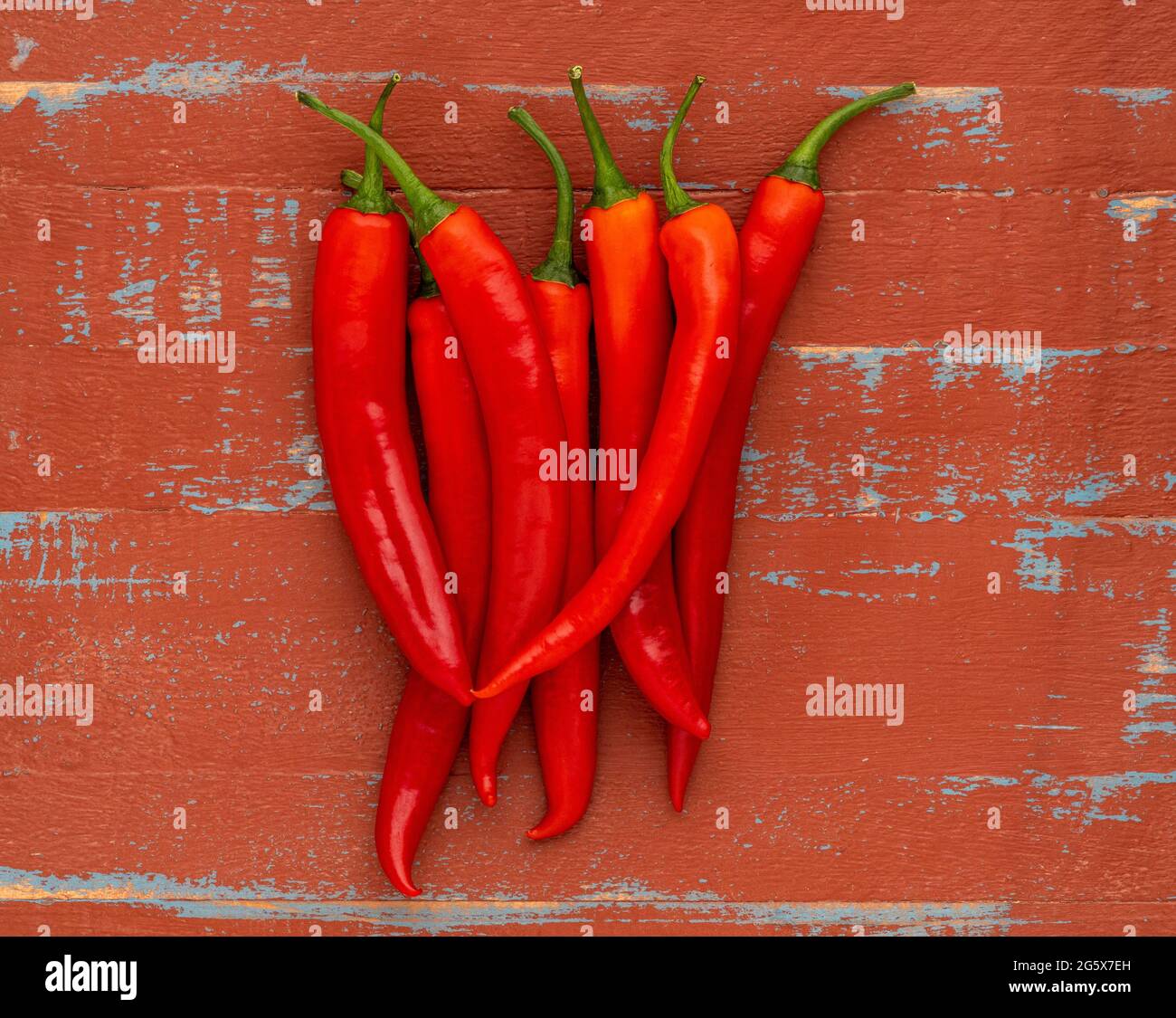 Plan view of red chilli peppers on a brown and blue wooden background ...