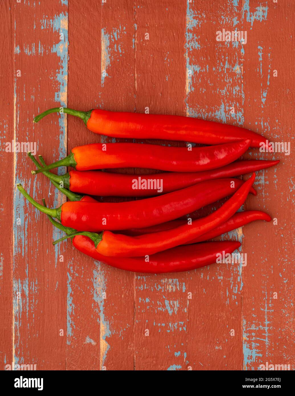 Plan view of red chilli peppers on a brown and blue wooden background ...