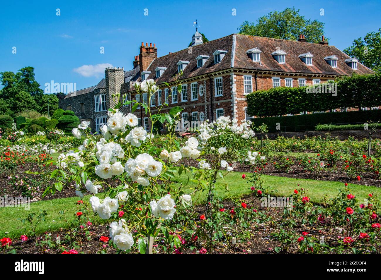 Hall Place rose garden. Bexley, Kent. UK Stock Photo - Alamy