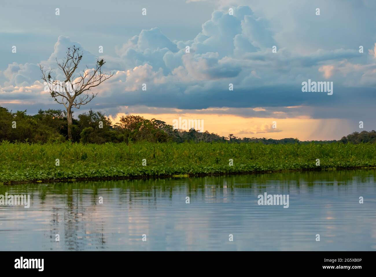 Sunset on the Peruvian Amazon River Stock Photo - Alamy