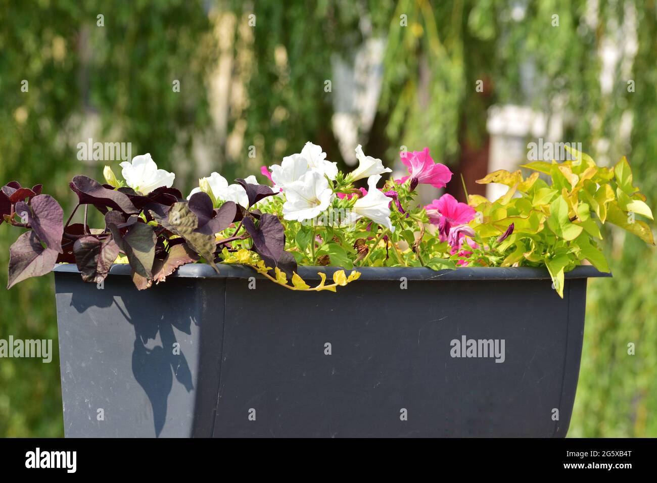 Hanging flower pots fence hi-res stock photography and images - Alamy