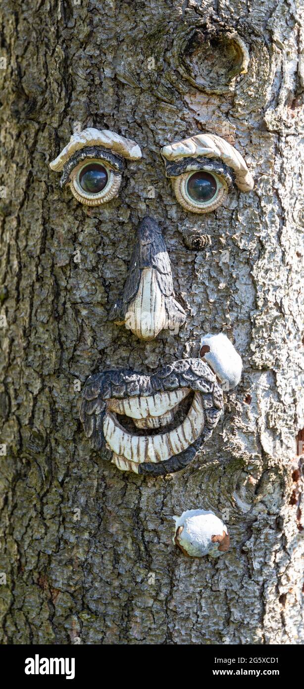 Quaint smiling human face carved into a tree trunk Stock Photo - Alamy