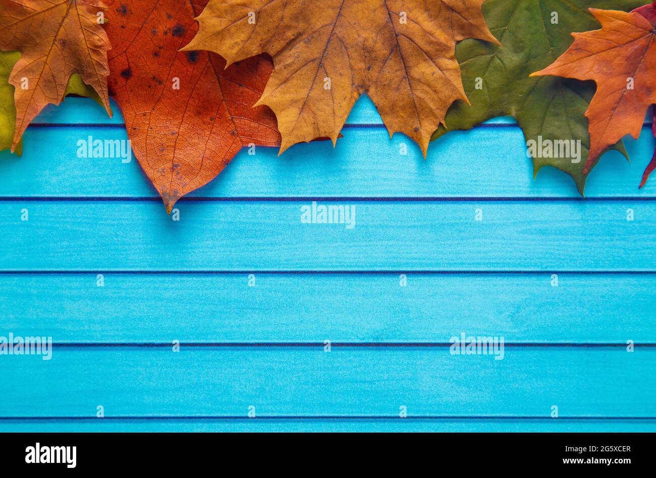 Real frame hi-res stock photography and images - Alamy