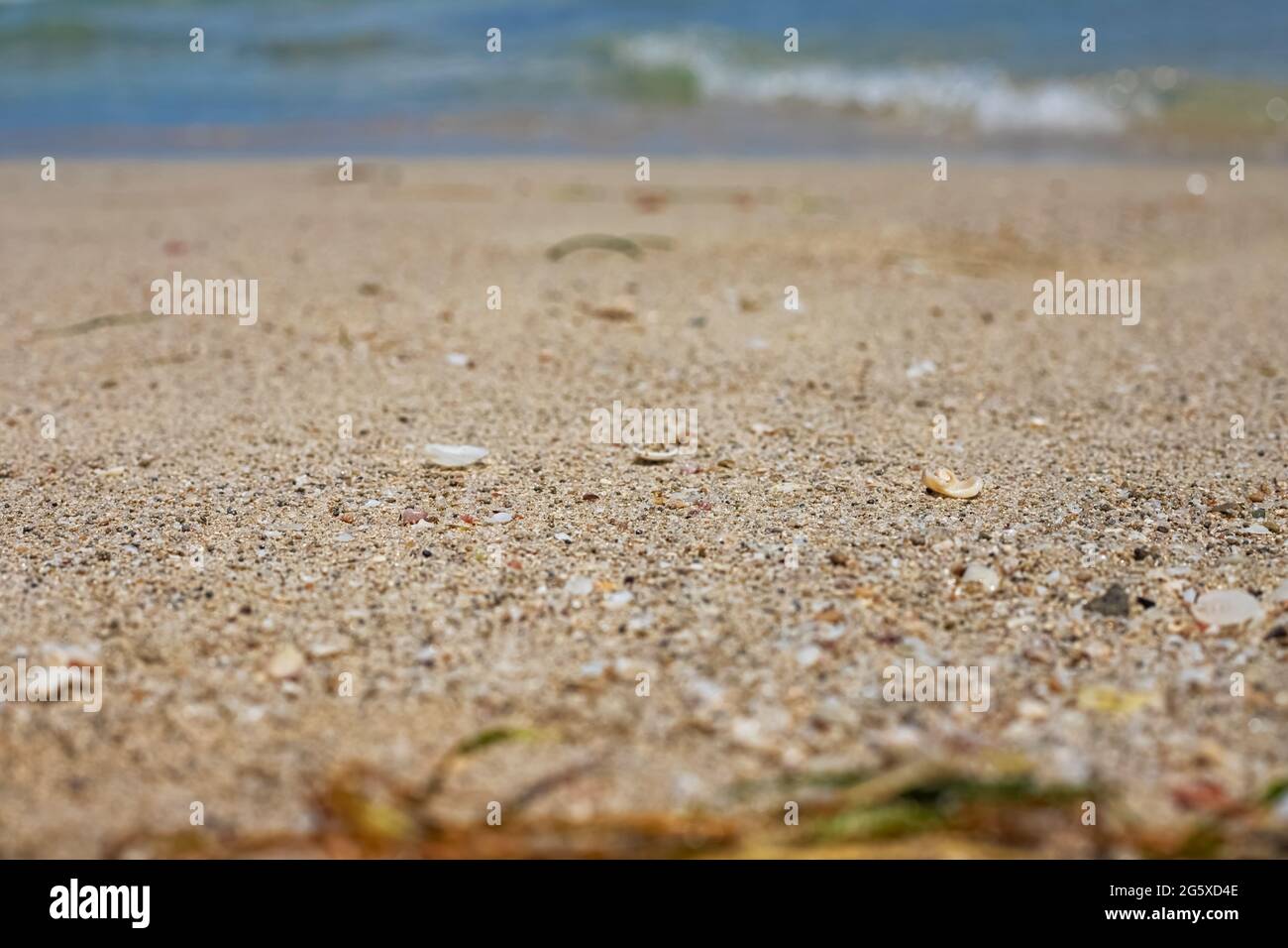 Mediterranean coast. Sand and seashells on the sand close-up. Djerba ...