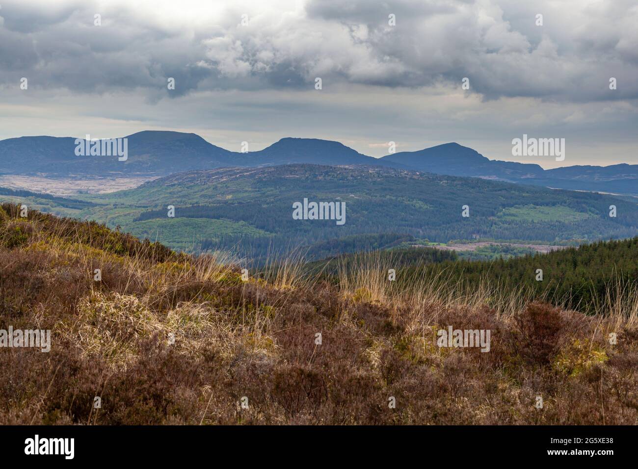 Rhobell hi-res stock photography and images - Alamy