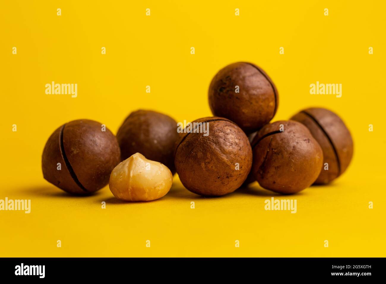 the most delicious macadamia nut on a yellow background Stock Photo - Alamy