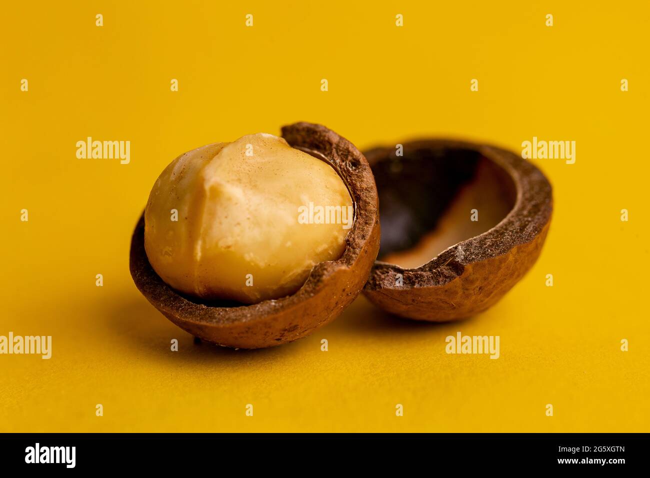 macadamia nut kernel and shell on a yellow background Stock Photo - Alamy