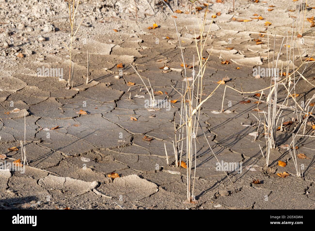 Drought land without water texture. Global water scarcity on the planet ...