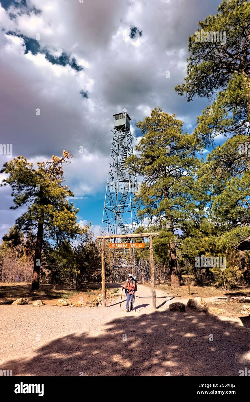 Lookout tower and forest hi-res stock photography and images - Alamy