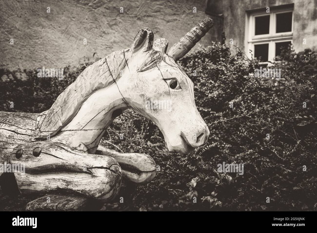 Look device hi-res stock photography and images - Alamy