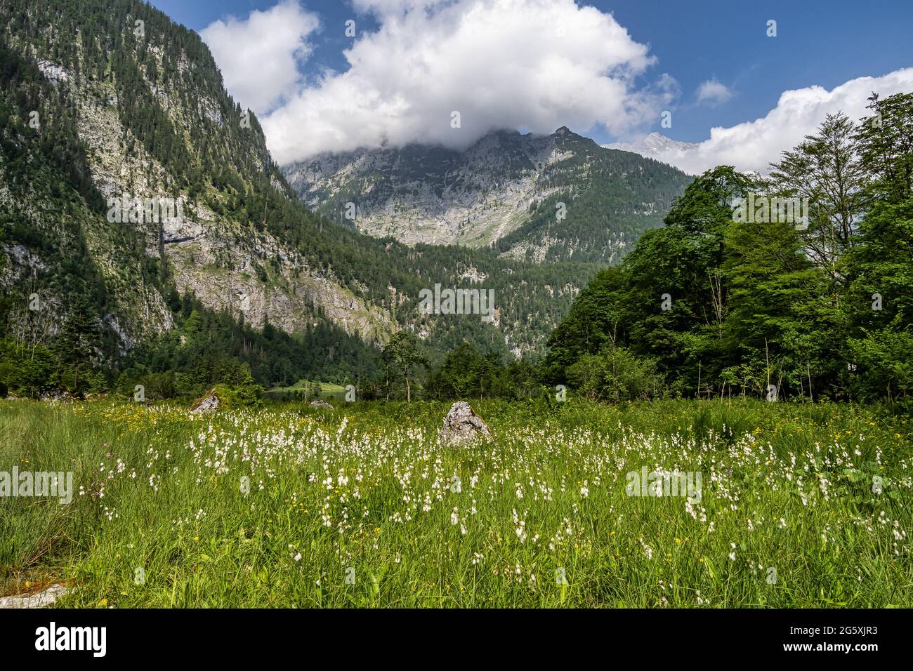 Path to Obersee Lake behind the Watzmann massif, Salet at Koenigssee ...