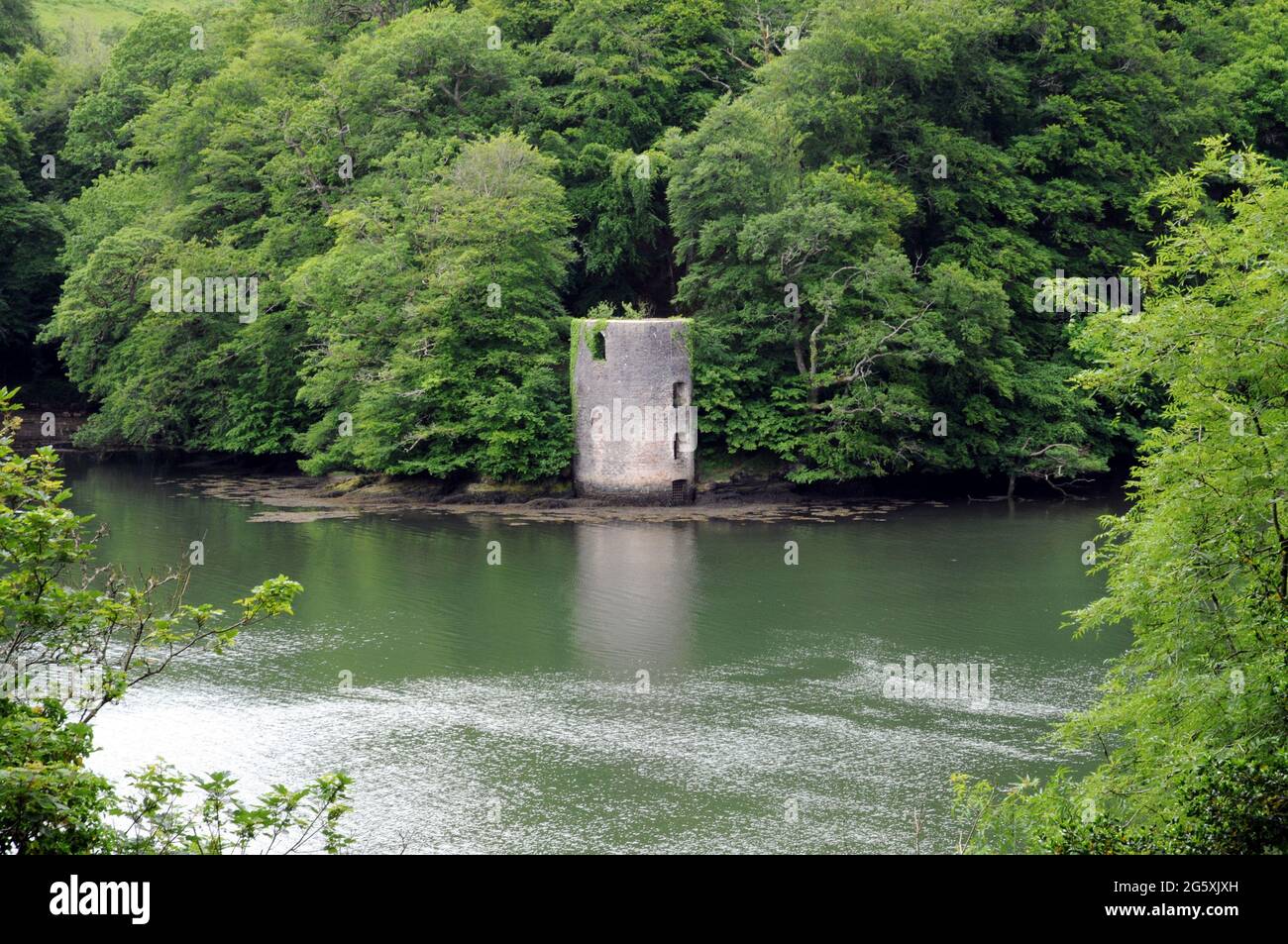 Seale High Resolution Stock Photography and Images - Alamy