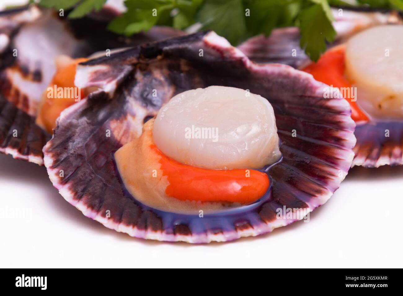 raw natural scallops of galician origin typical of gastronomy Stock ...
