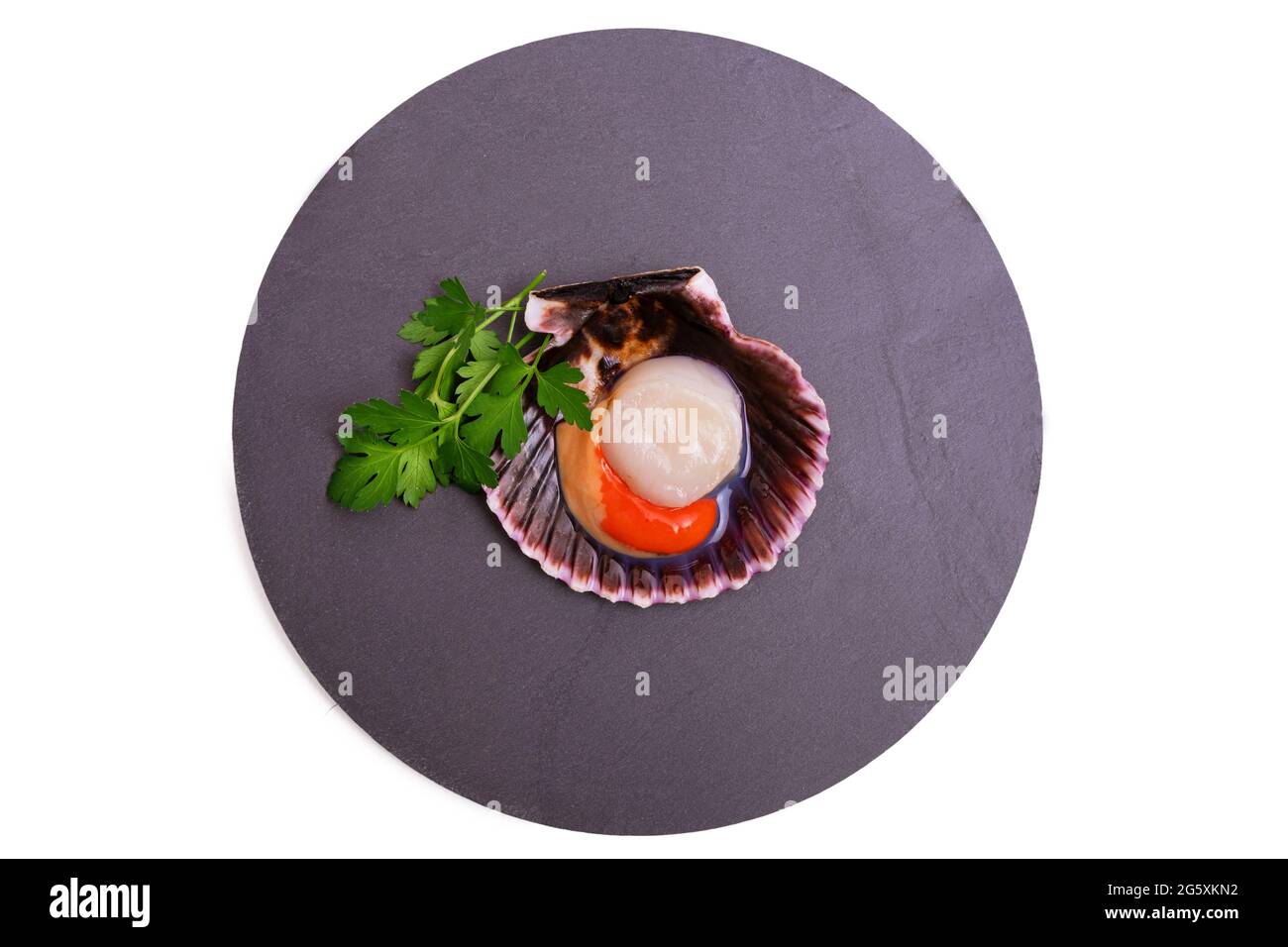 Scallop shell presentation Cut Out Stock Images & Pictures - Alamy